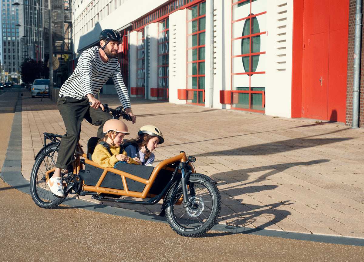 2024 Riese & Müller Model Line